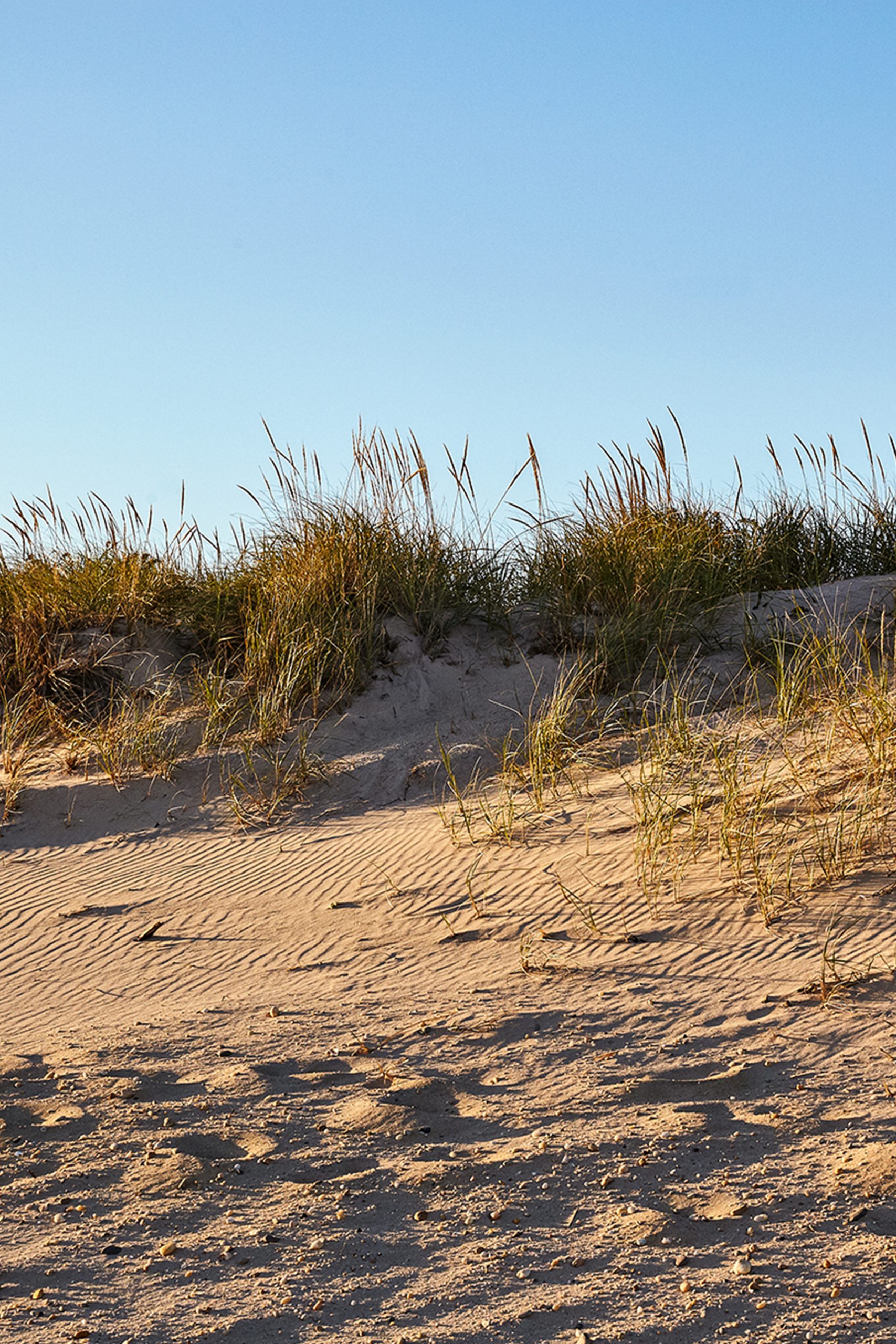 Marram | Maker